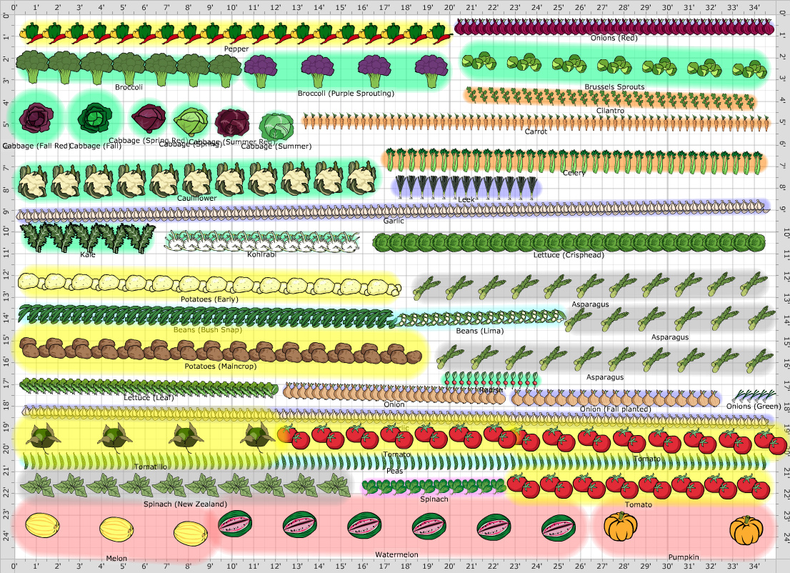 Garden Plan - STF row garden