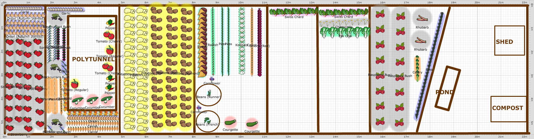 Garden Plan - 2013: Allotment