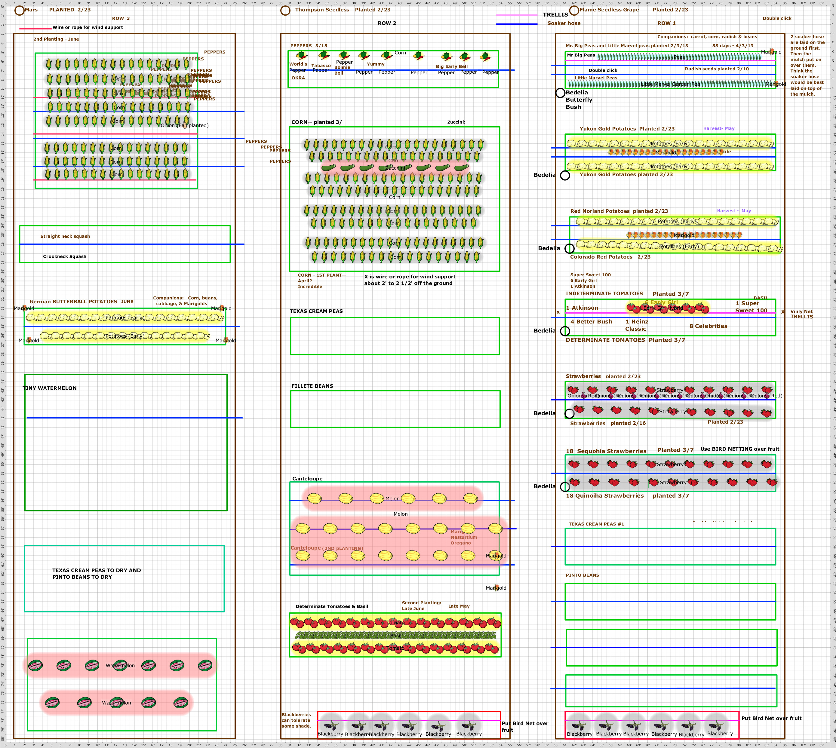Garden Plan - 2013: N Z Plan B