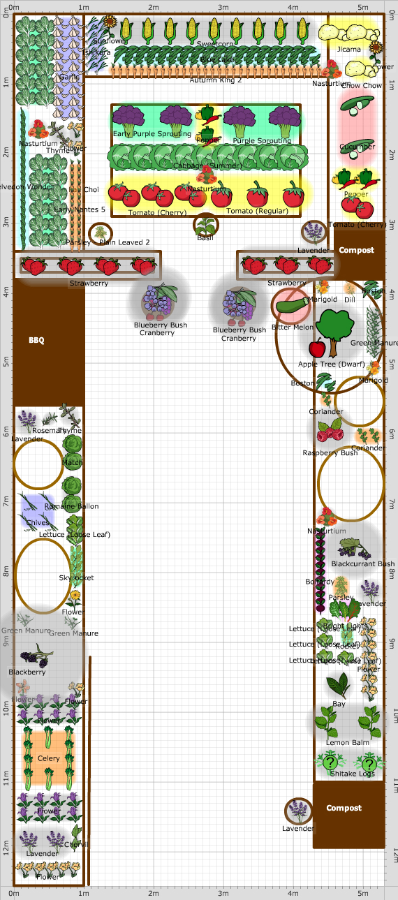Garden Plan - 2013: Garden