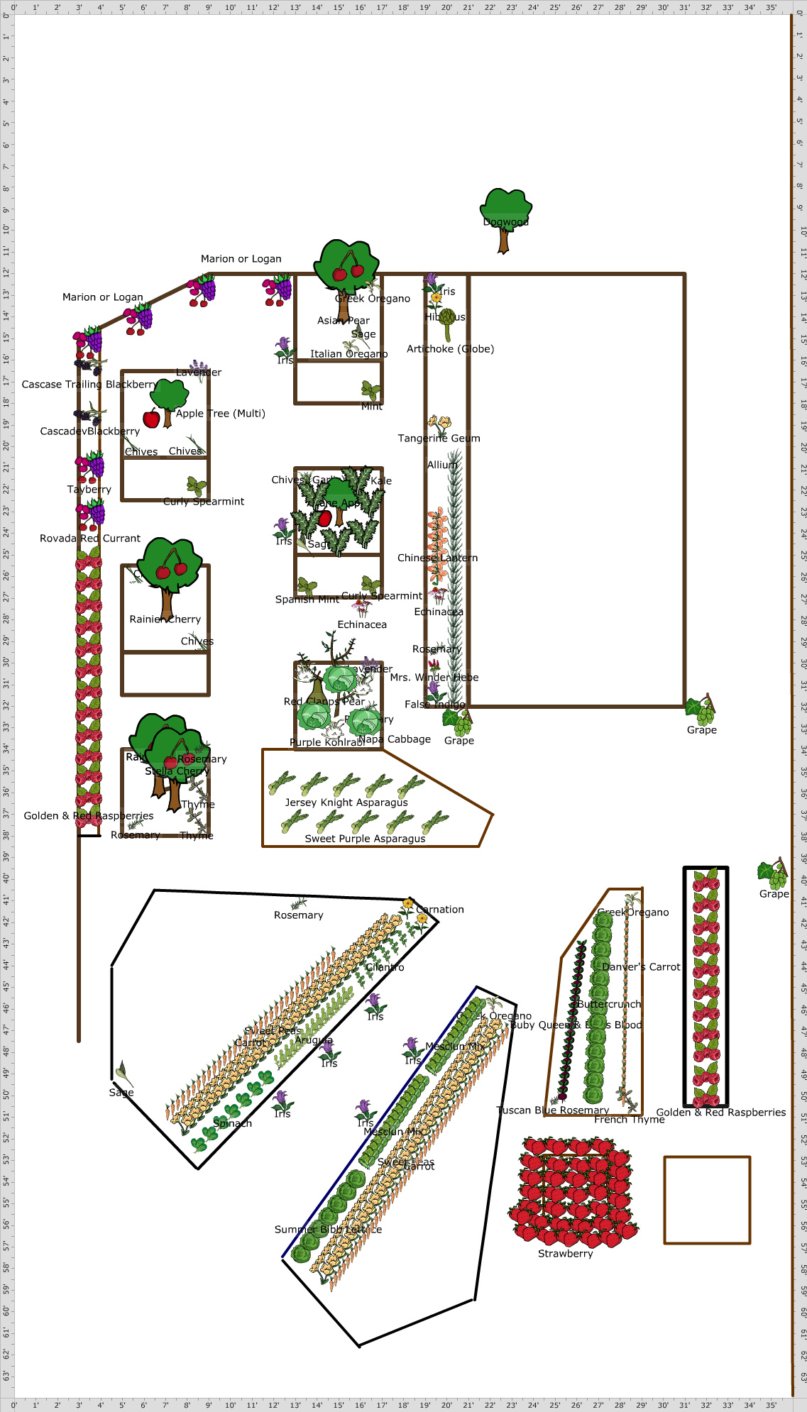 Garden Plan - 2014: Back Garden