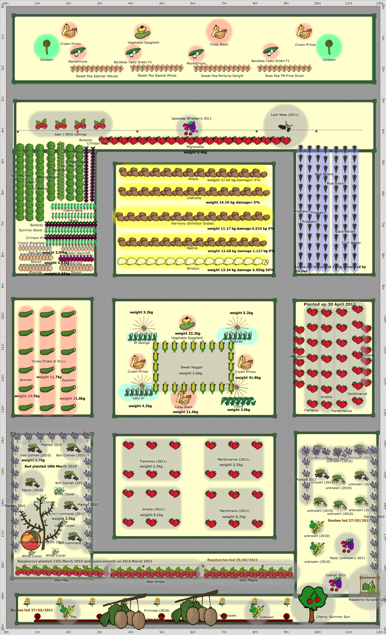 Garden Plan - 2013: Plot 41