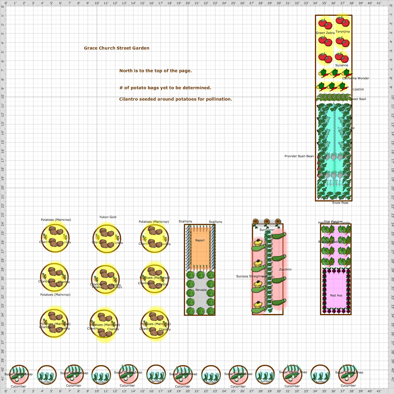 Garden Plan - 2013: Grace Church Garden