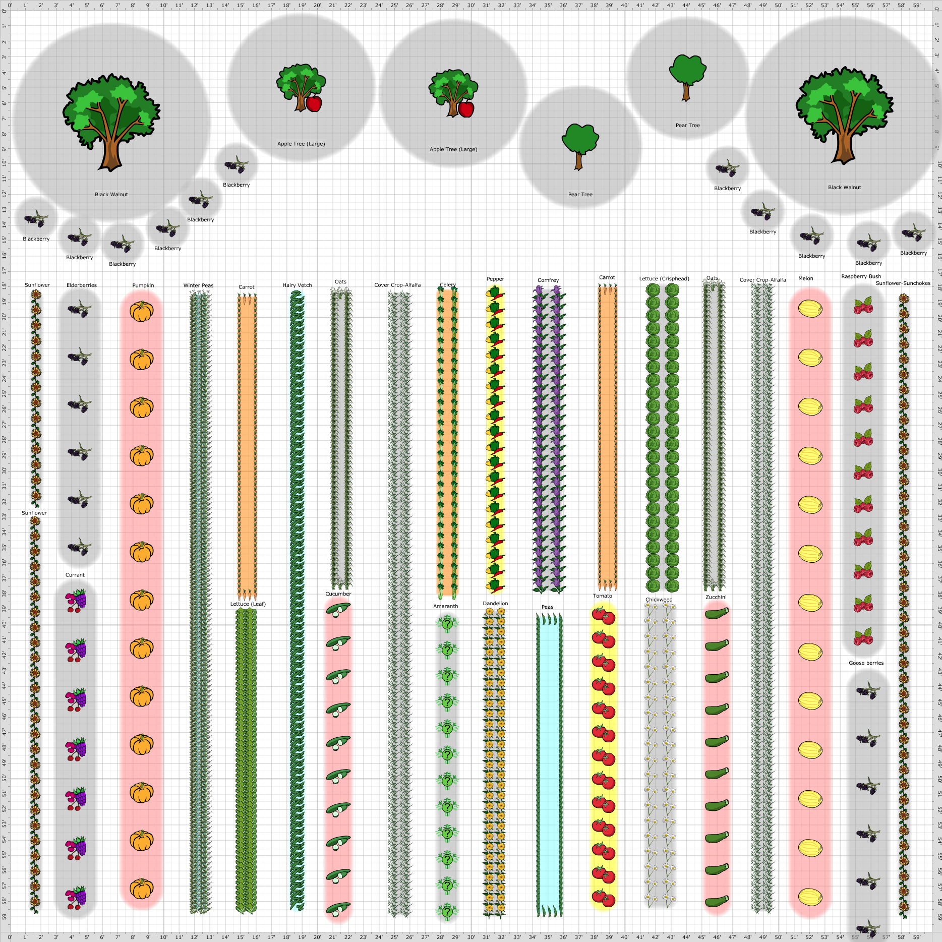 Garden Plan - 2013: Goat Garden Crops