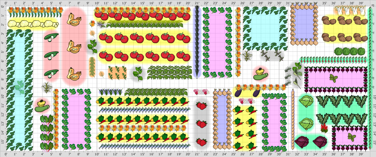 Garden Plan - 2013: Veggie Sections