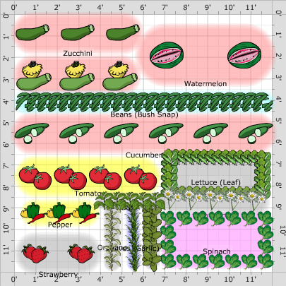 Garden Plan - 2013: First Garden Ever