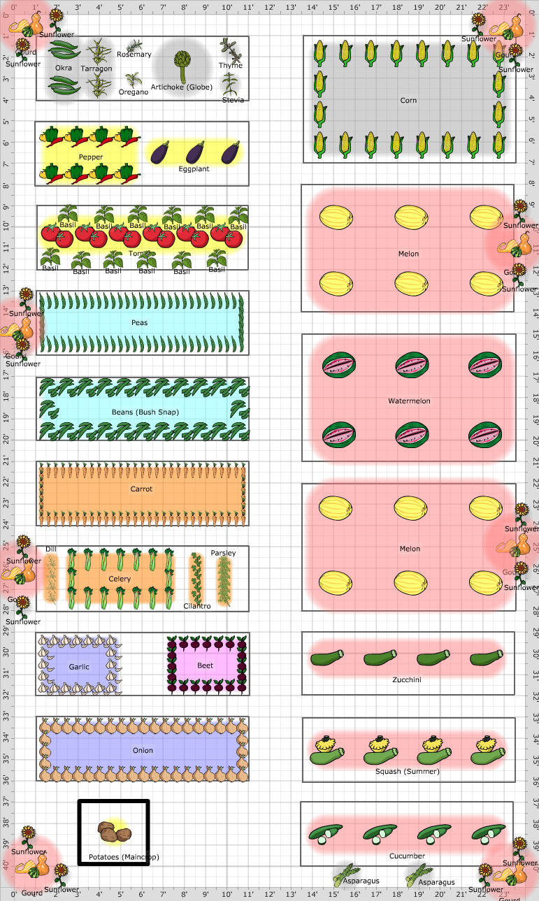 Garden Plan - 2013: Strausbaugh Garden