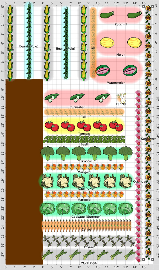 Garden Plan - 2013: plot behind shed