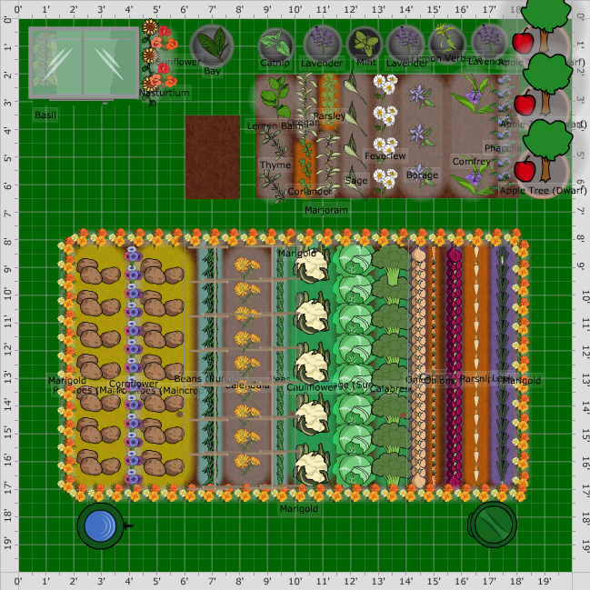 Garden Plan - 2013: Plot 8a Bardfield Road Allotments