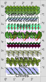 Garden Plan - 2013: Terrace Park