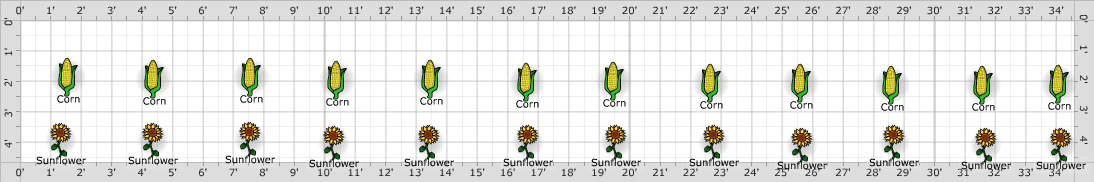 Garden Plan - 2013: corn place