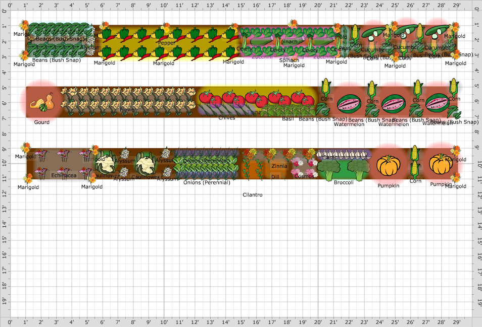 Garden Plan - 2013: Our Garden