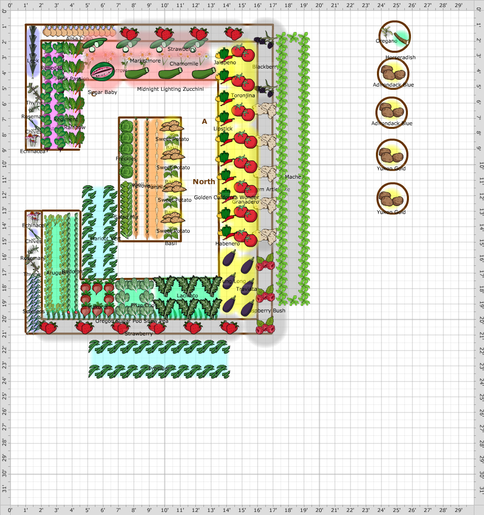 Garden Plan - 2013: Case