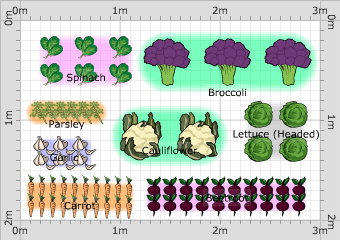 Garden Plan - peta parker