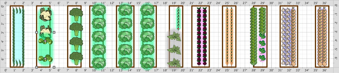 Garden Plan - 2014: central garden plot