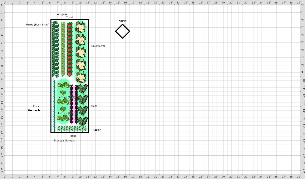 Garden Plan - 2013: 4 person Spring Garden