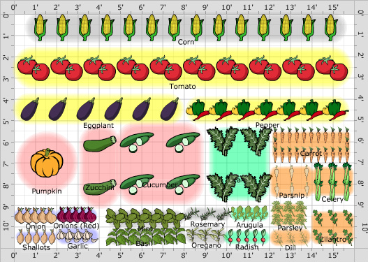 Garden Plan - 2013: Pat's