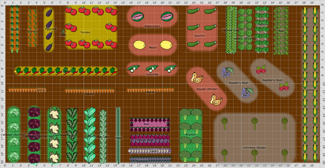 Garden Plan - 2013: LA HUERTA