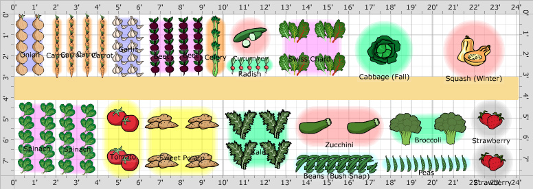 Garden Plan - 2013: THE GARDEN
