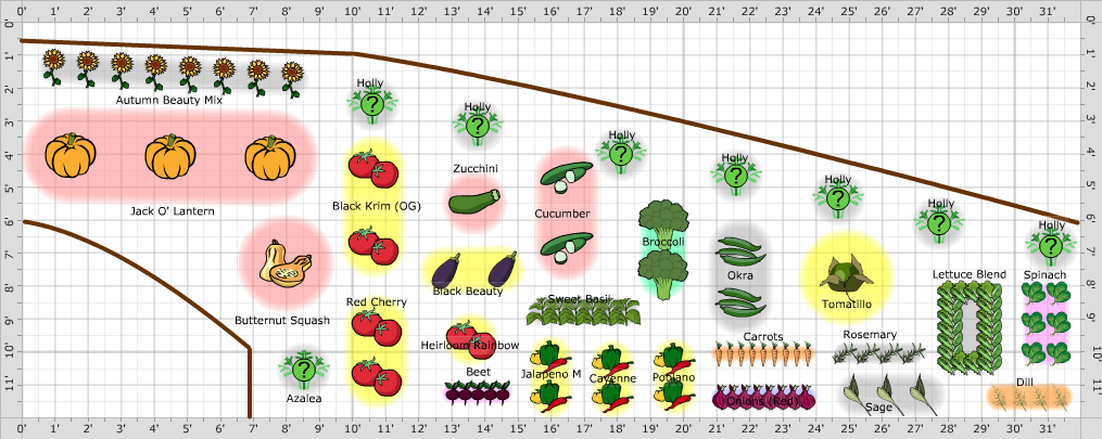 Garden Plan - 2013: Amandrew's Garden :)