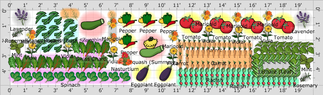 Garden Plan - 2013: Actual Community Garden Plot