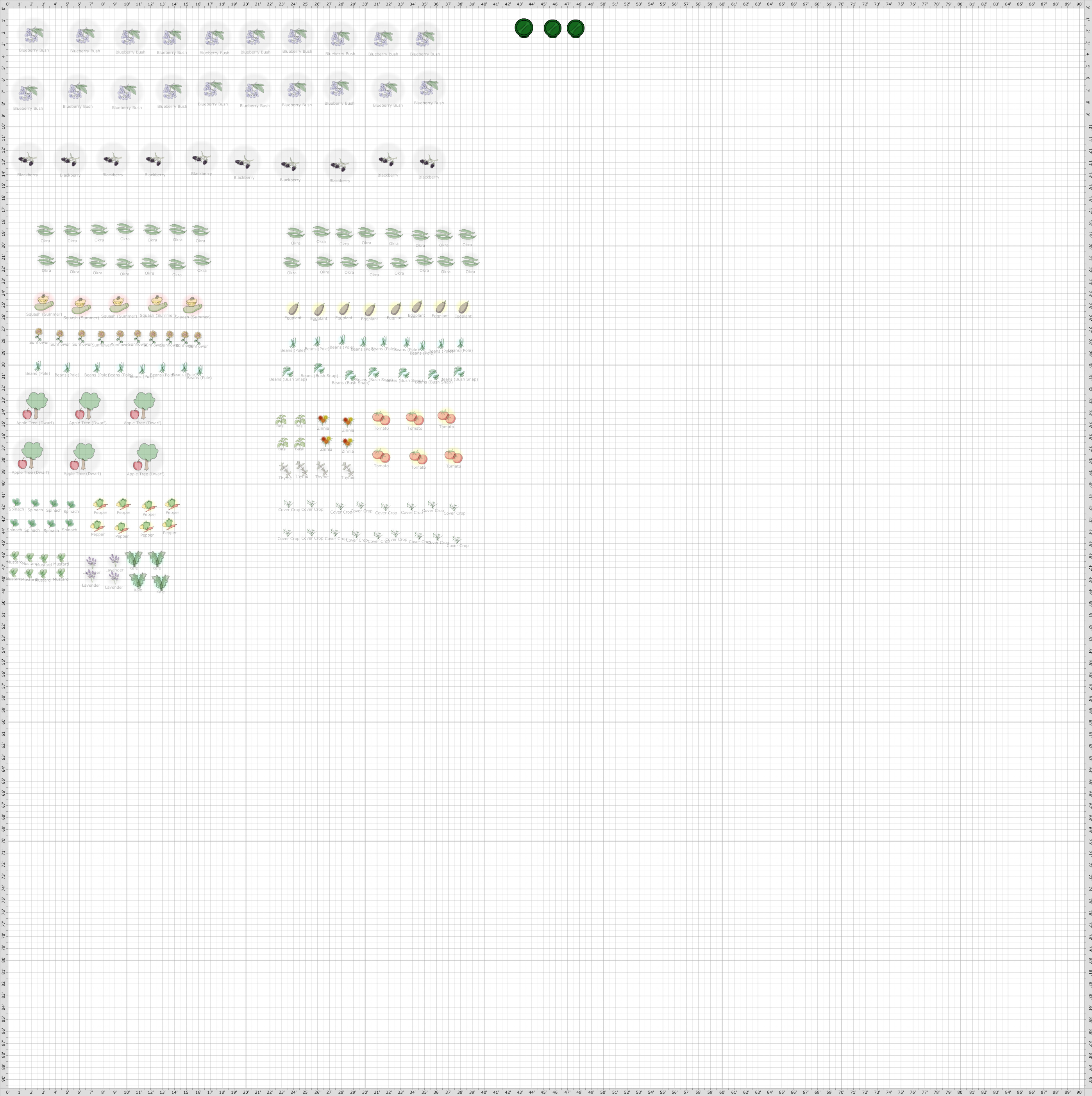 Garden Plan - 2013: Leslie's School Garden