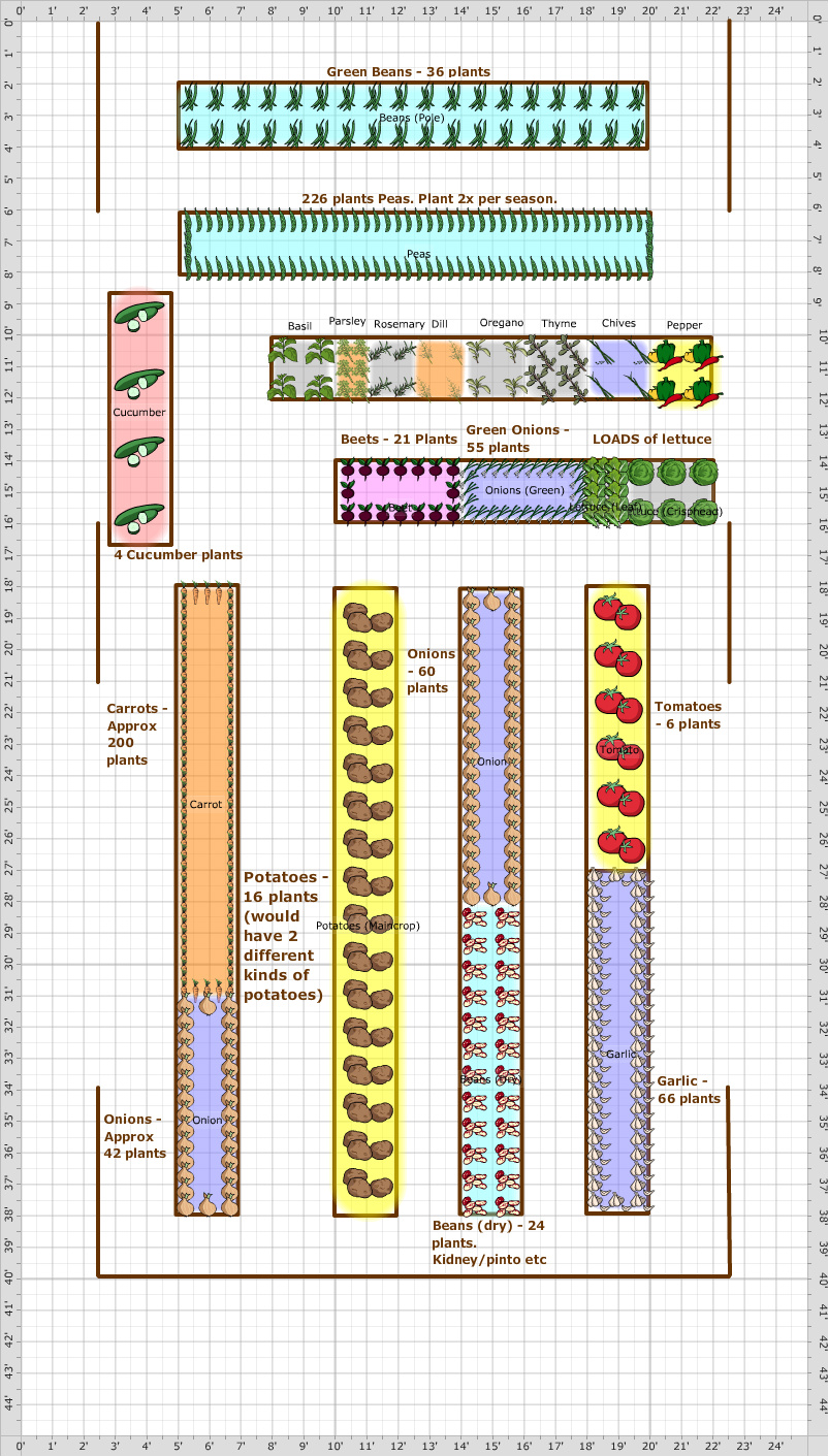Garden Plan - 2020: Dream Garden