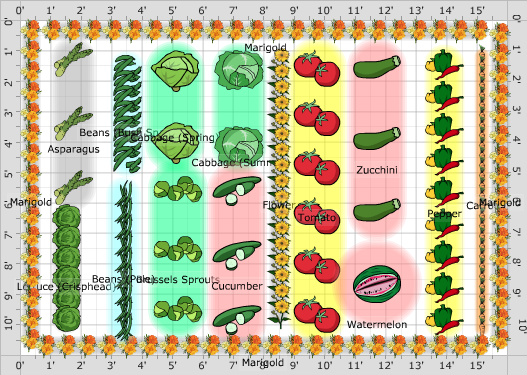 Garden Plan - 2014: My First Garden
