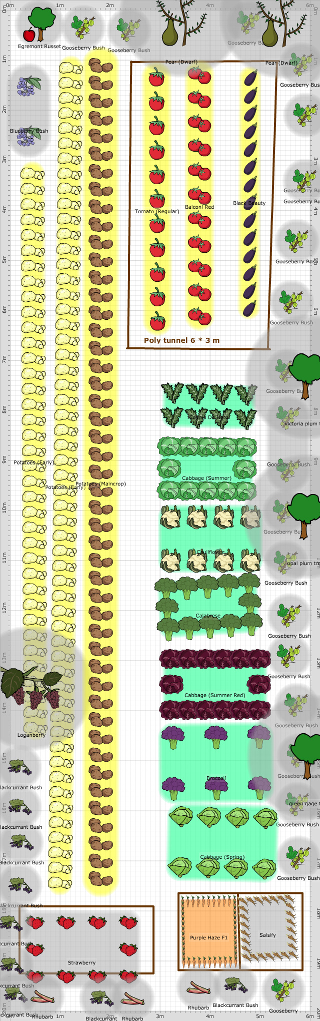 Garden Plan - 2014: allotment3
