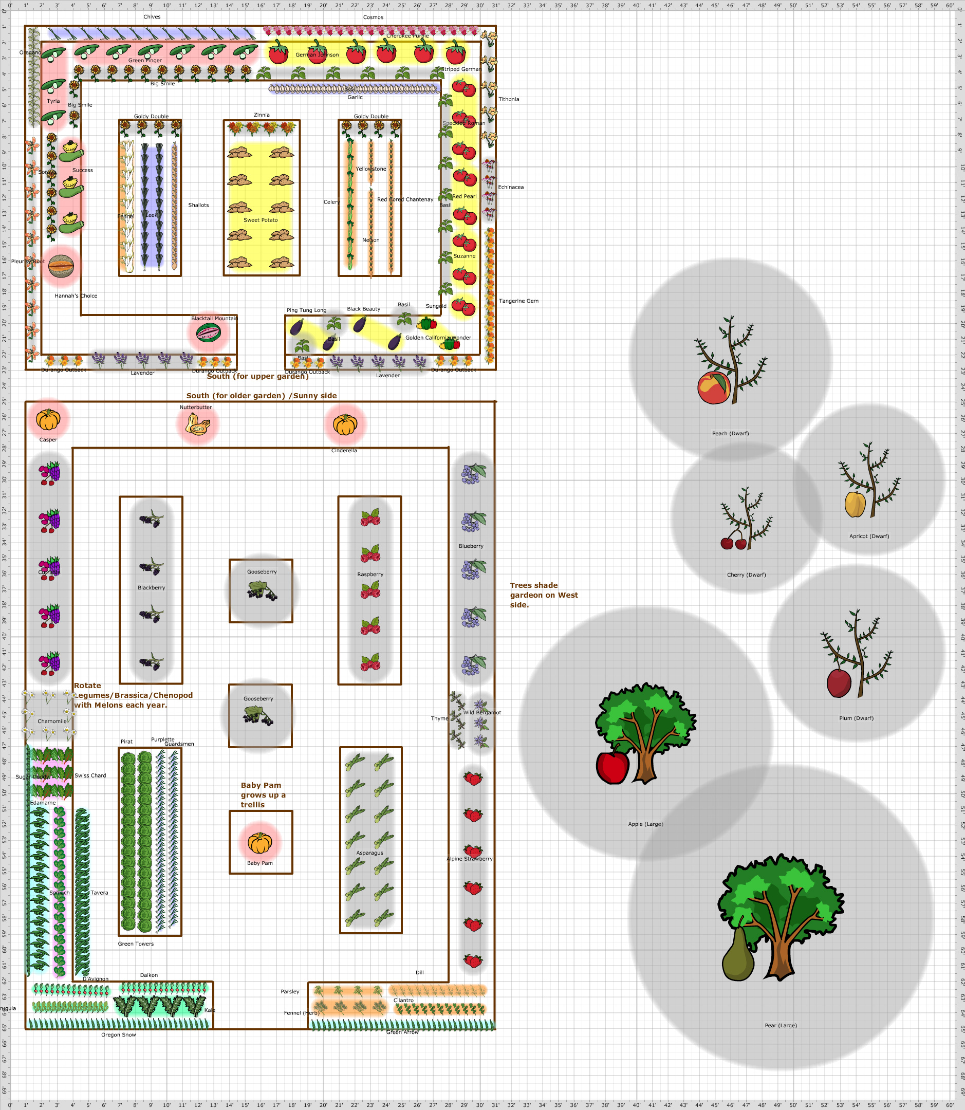 Garden Plan - 2014: Edelman