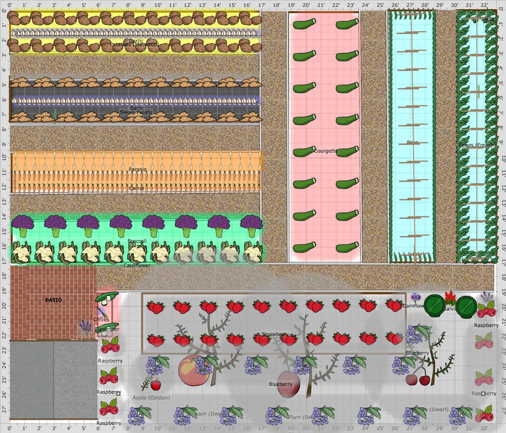 Garden Plan - 2014: ALLOTMENT