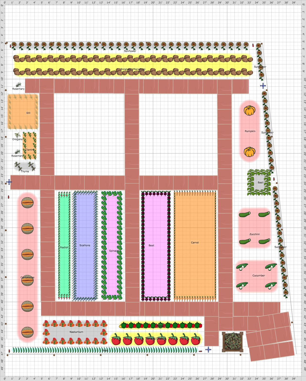 Garden Plan - 2014: Back garden