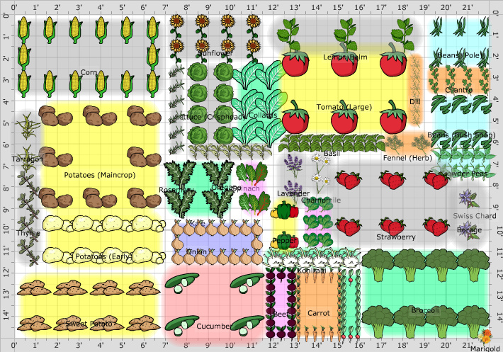 Garden Plan - 2014: springtime