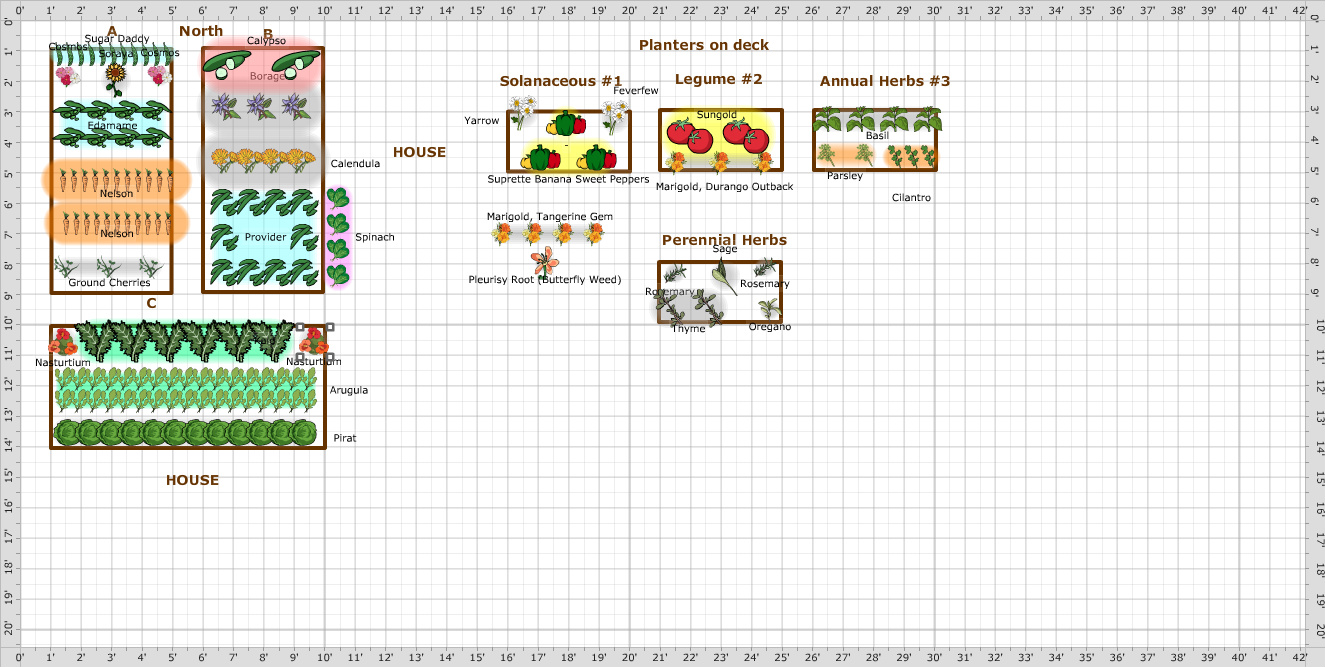 Garden Plan - 2014: Taffy