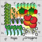 Garden Plan 2014 Garden
