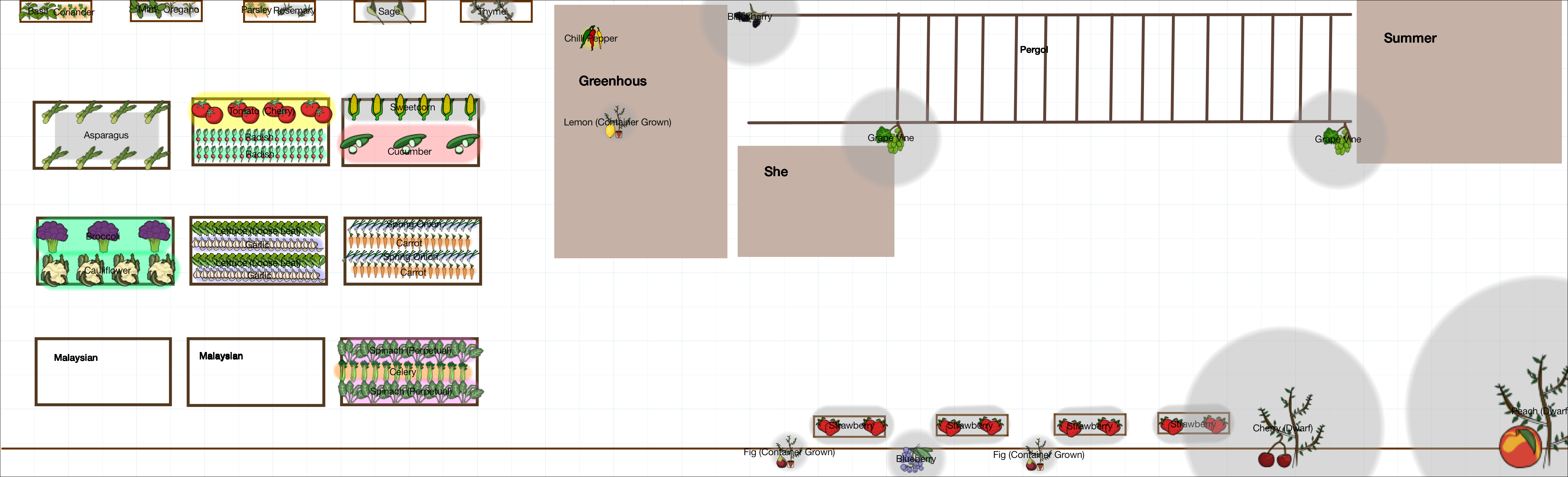 Garden Plan - 2014: Kasturi Kitchen Garden