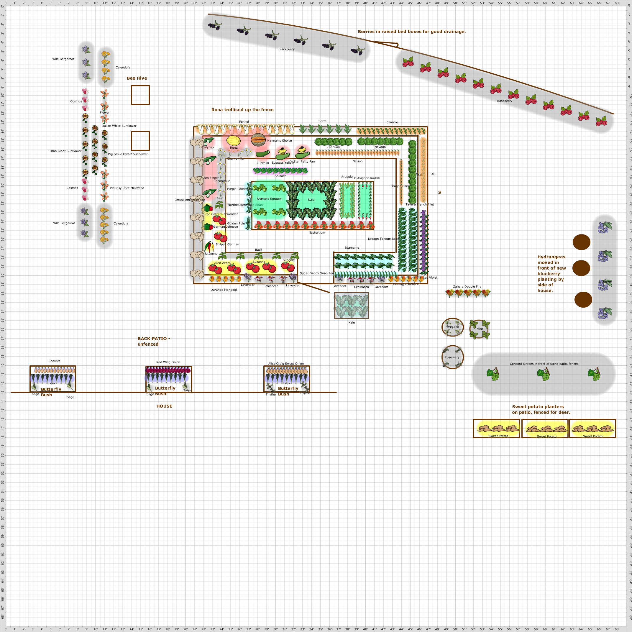 Garden Plan - 2014: Dowley