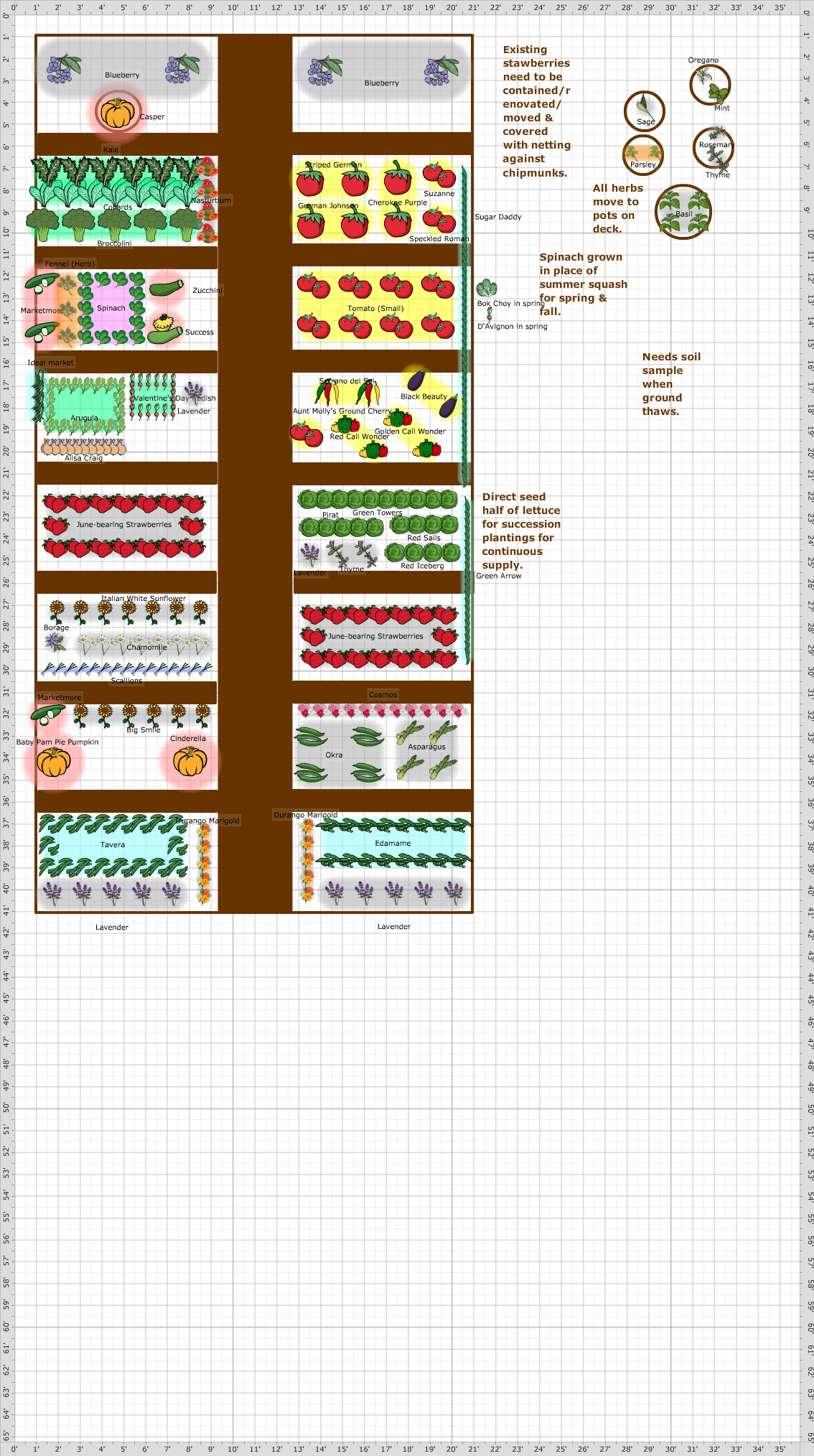 Garden Plan - 2014: Lazarus