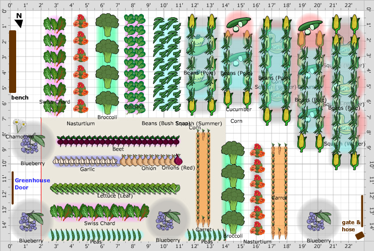 Garden Plan - 2014: Back Yard