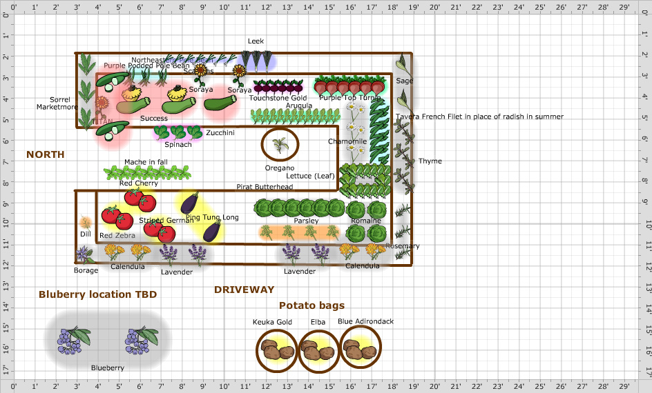 Garden Plan - 2014: Smiles