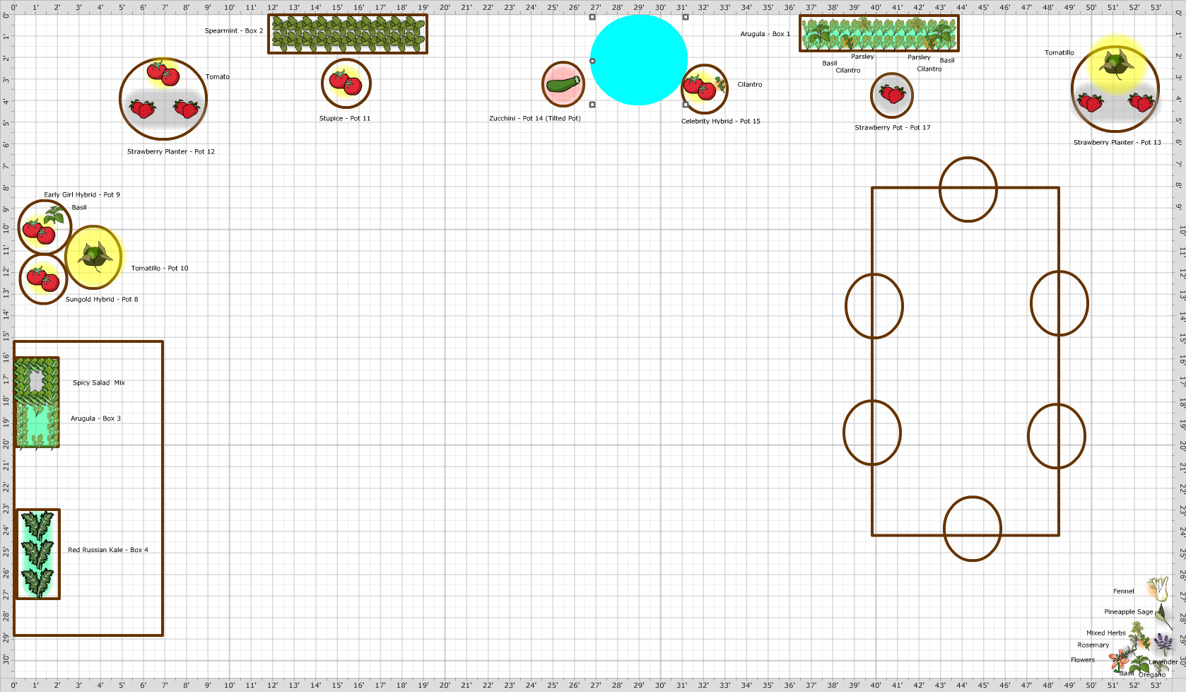 Garden Plan - 2014: Container Plants