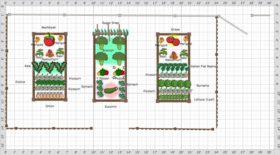 Garden Plan - 2014: Giannone