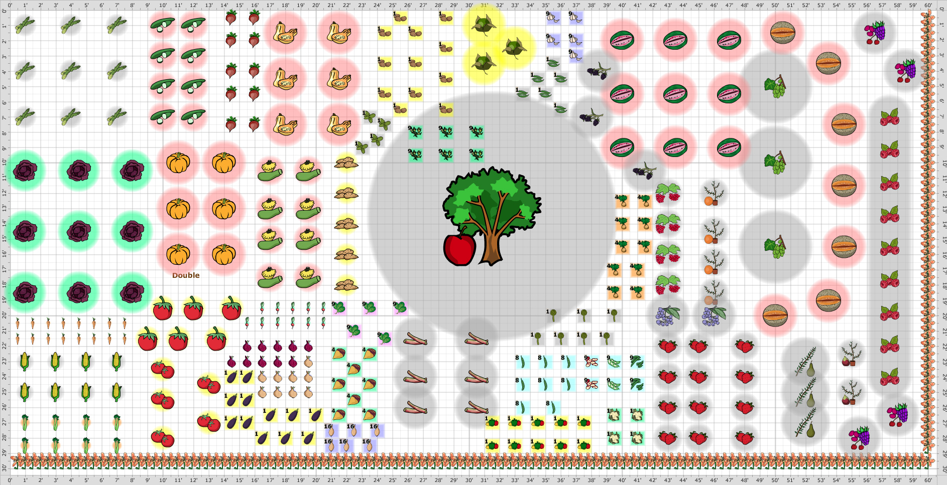 Garden Plan - 2014: Patience Thomas