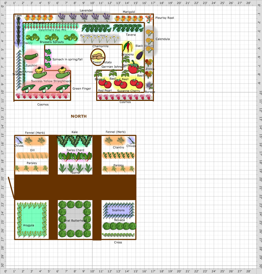 Garden Plan - 2014: Weinberg