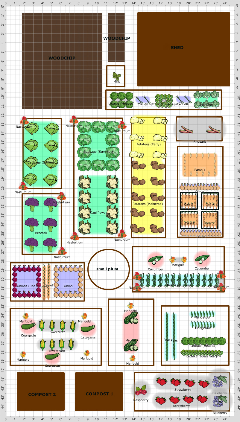 Garden Plan - 2014: Sally's allotment