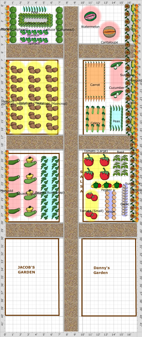 Garden Plan - 2014: backyard