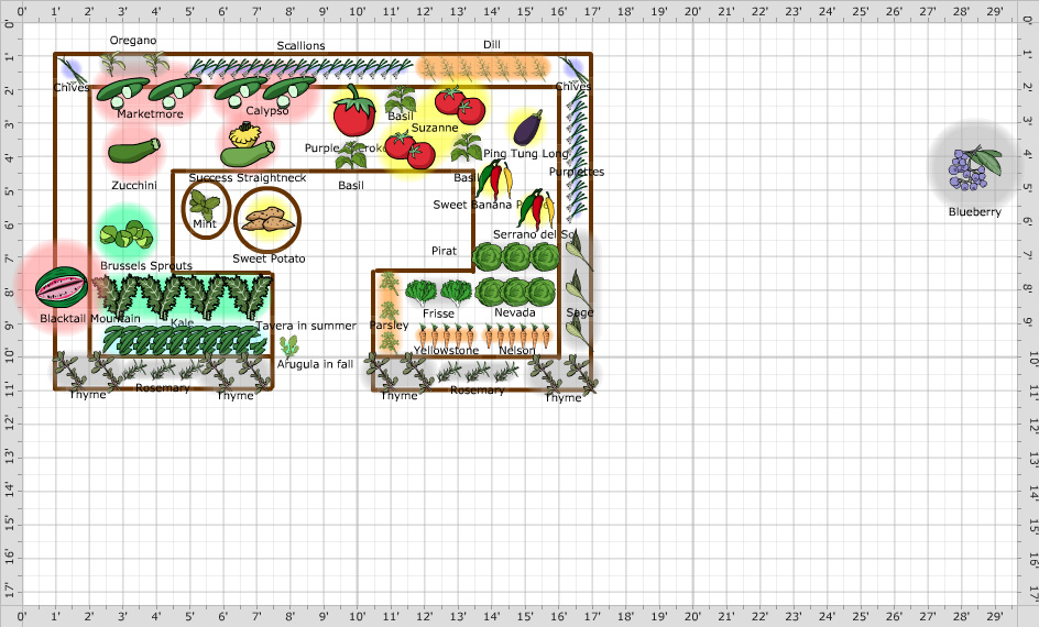 Garden Plan - 2014: Welly