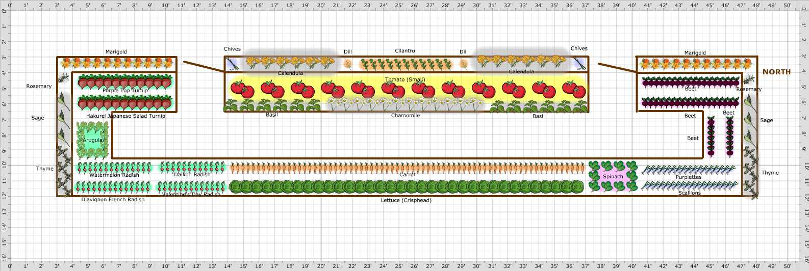 Garden Plan - 2014: Doyle