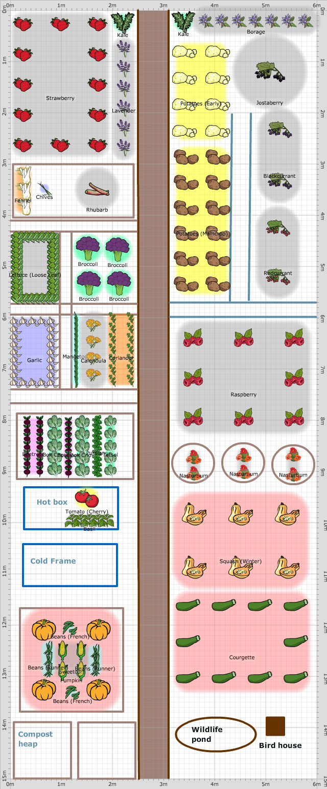 Garden Plan - 2014: Allotment