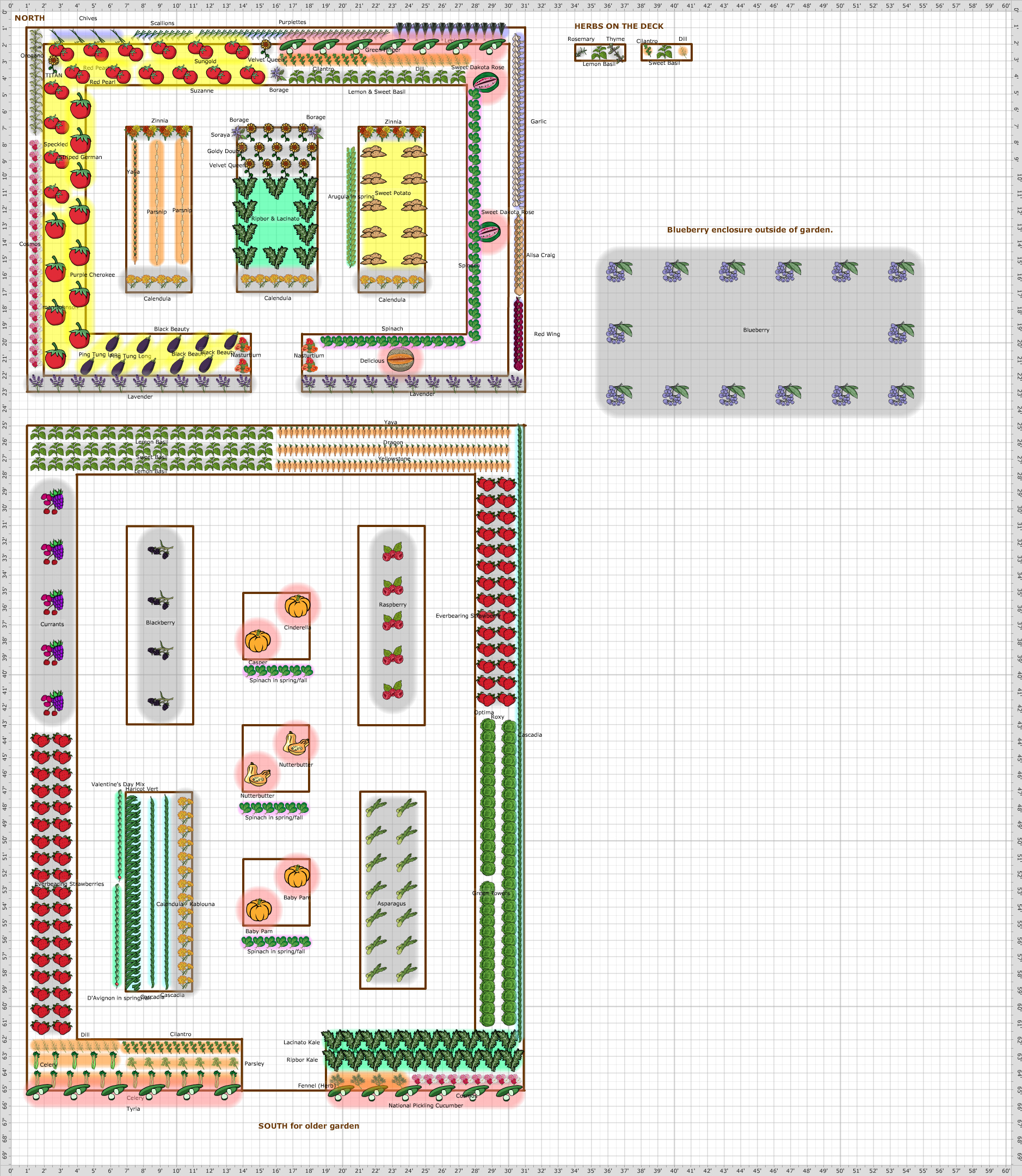 Garden Plan - 2015: Edelman